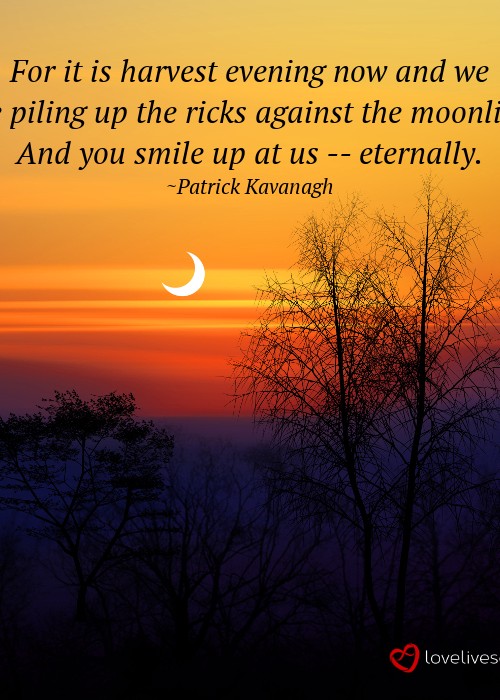 sunset-meme-poem-312855872-1-500×700 | Love Lives On