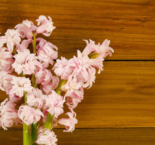 Funeral-flowers-with-hyacinth-thumbnail-500×467 | Love Lives On