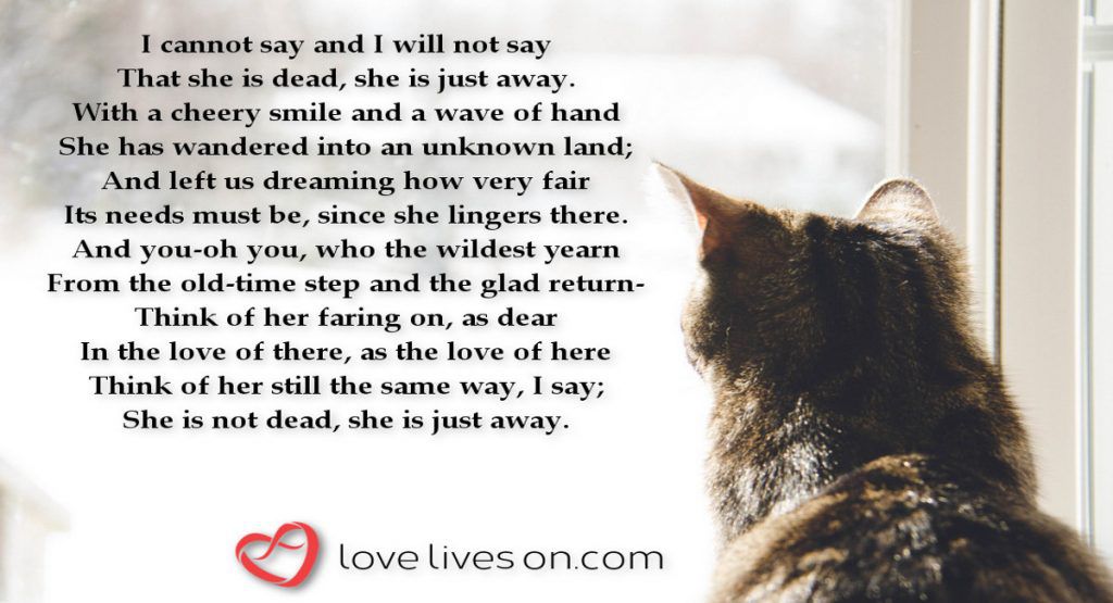 Memes to Remember Loved Ones Now & Forever | Love Lives On