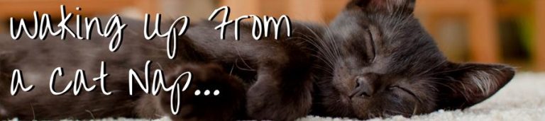 I Miss My Cat, (But Kept My Grief Secret!) | Love Lives On