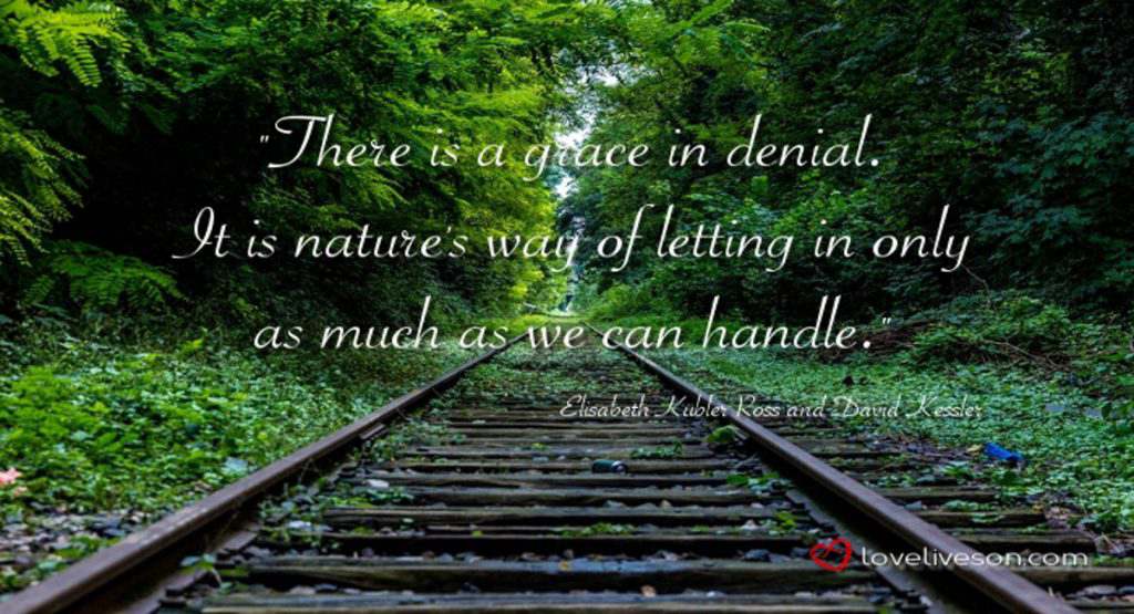 Denial-Stage-of-Grief-Meme- | Love Lives On