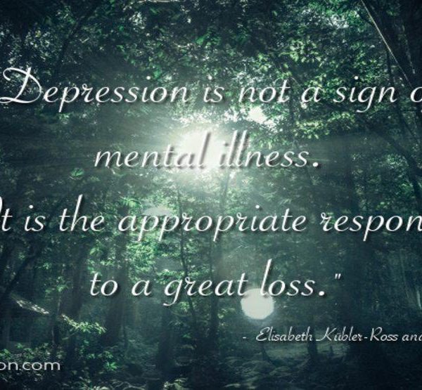 Stages-of-Grief-Meme-Depression-600×555 | Love Lives On