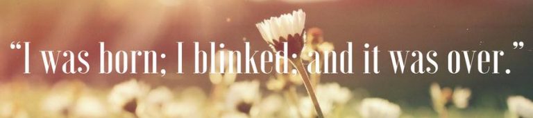 17+ Insanely Funny Obituaries | Love Lives On