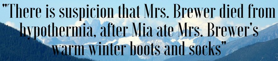 17+ Insanely Funny Obituaries