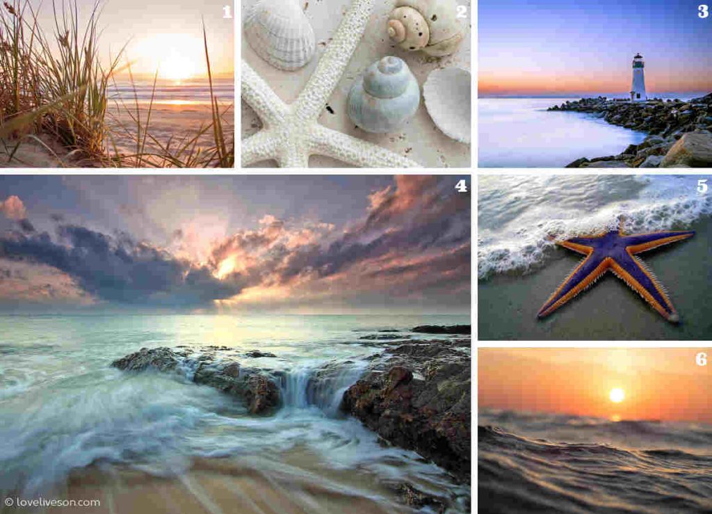 Celebration of Life Ideas | Beach Theme